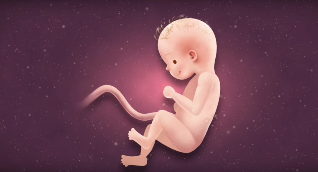 22 Weeks Pregnant: Symptoms, Signs and Baby Development - Bebek.com